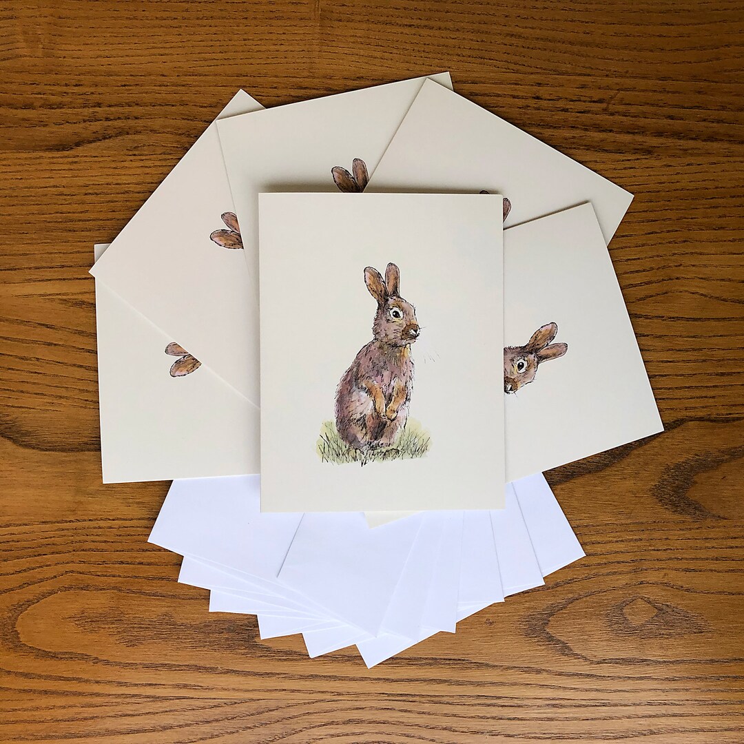 Rabbit Card Boxed Set Bunny Rabbit Art Stationery Gift Set - Etsy