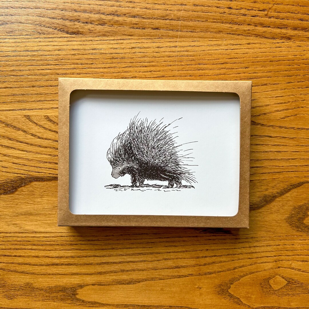 Porcupine Art Card Set, Pen & Watercolor, Stationery Gift - Etsy