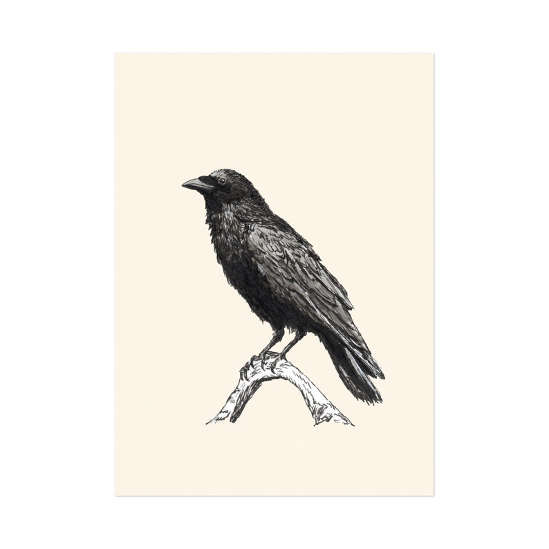Raven M Art Print 5x7 Animal Illustration Home Wall Decor | Etsy