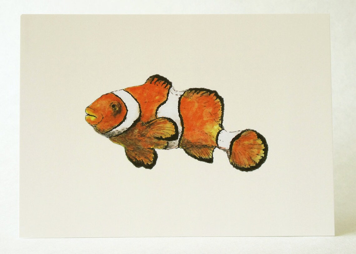Clownfish Fish Art Print 5x7 Animal Watercolor Illustration | Etsy