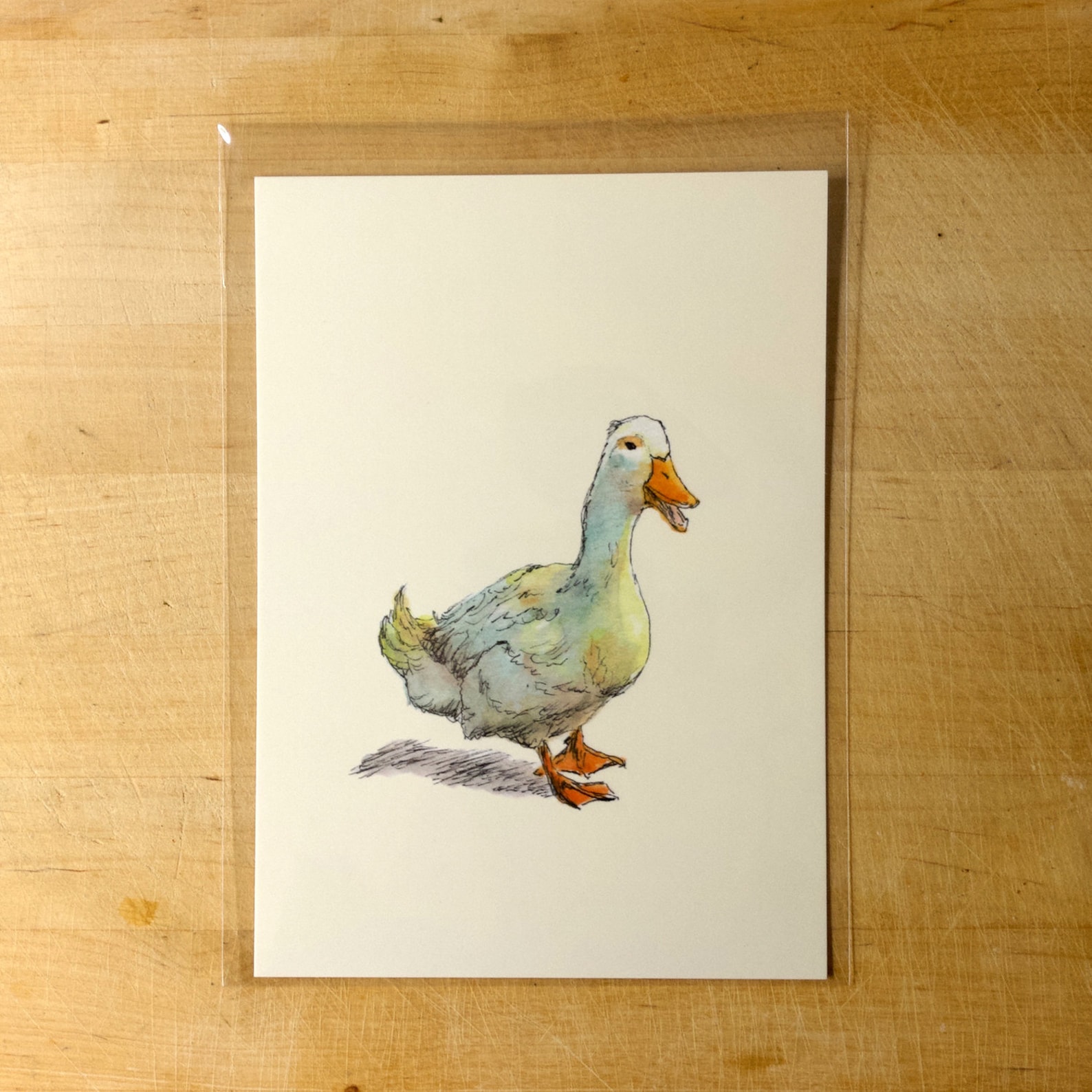 Waddle Duck, Bird Art Gift Print 5x7 Animal Watercolor Illustration ...