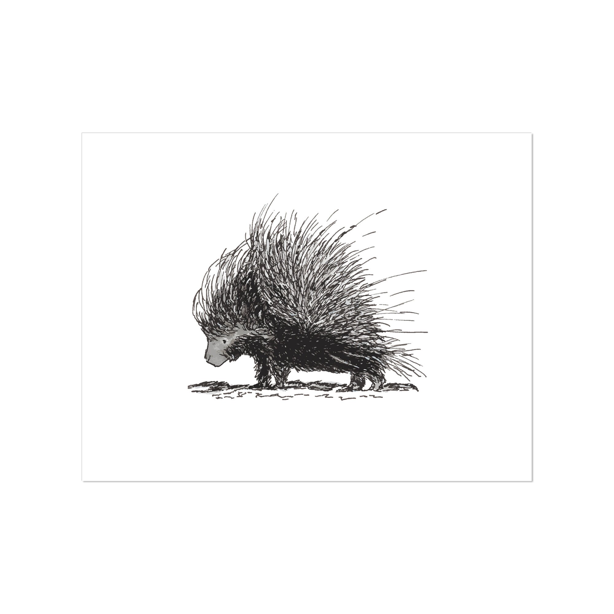 Porcupine Card, White Background, Porcupine Art Stationery - Etsy