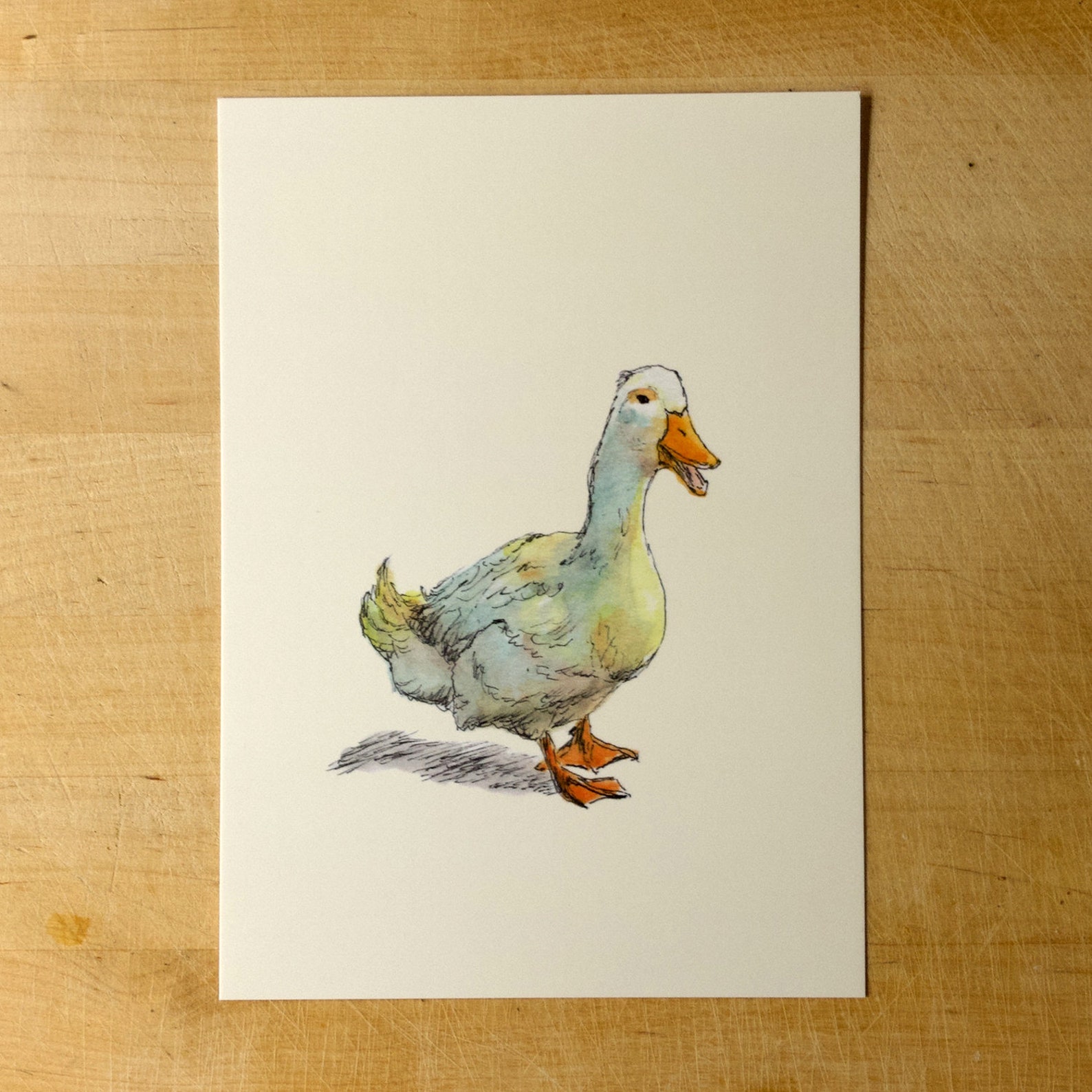 Waddle Duck, Bird Art Gift Print 5x7 Animal Watercolor Illustration ...