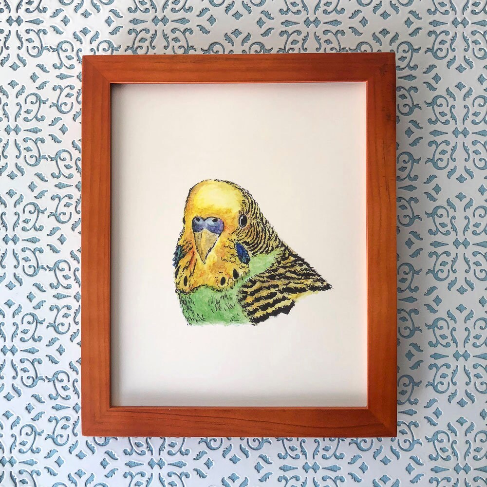 Parakeet 8x10 Unframed Bird Art Print Animal Watercolor Illustration ...