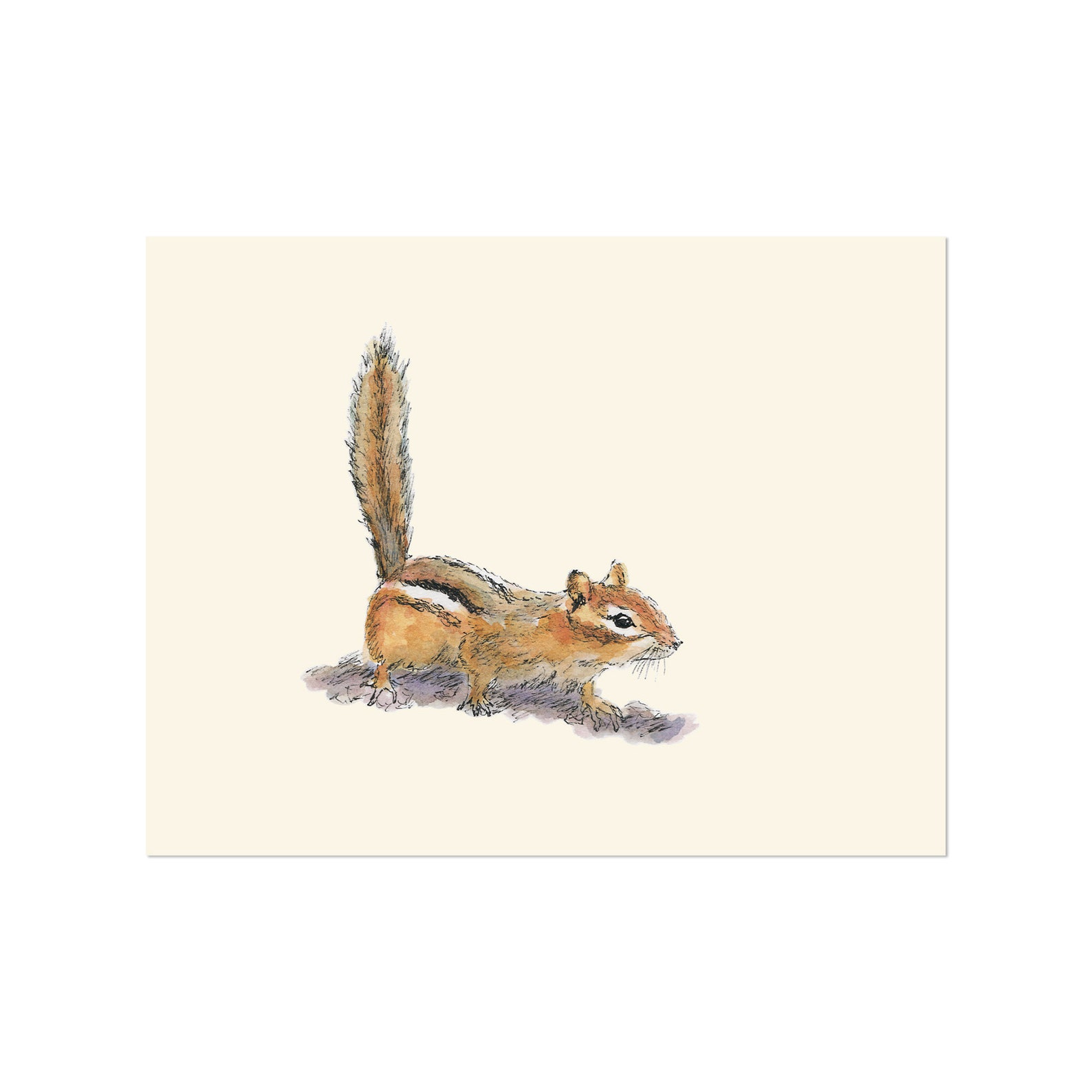 Curious Chipmunk Card Chipmunk Art Stationery | Etsy