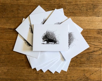 Porcupine Card White Background Porcupine Art Stationery | Etsy