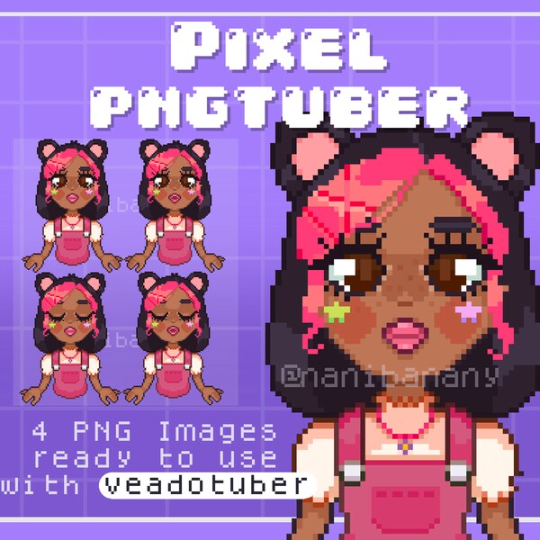 Pngtuber Model Pixel - Etsy UK