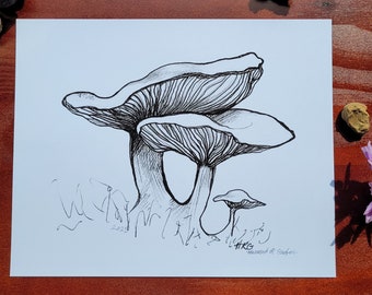 Mushroom Pen Drawing - Etsy