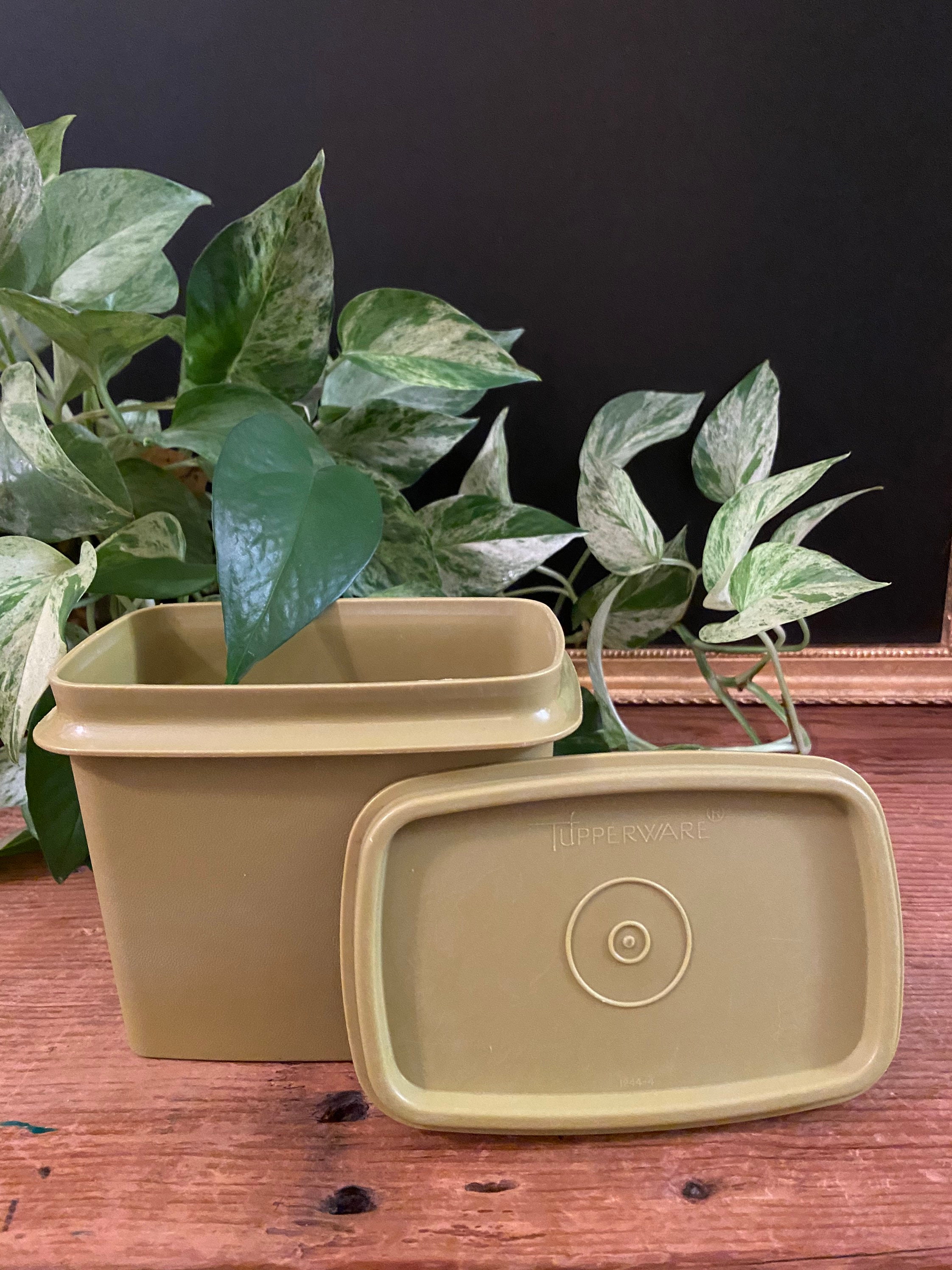 Vintage, 1970, Fall Harvest, Tupperware, Avocado Green, Storage ...