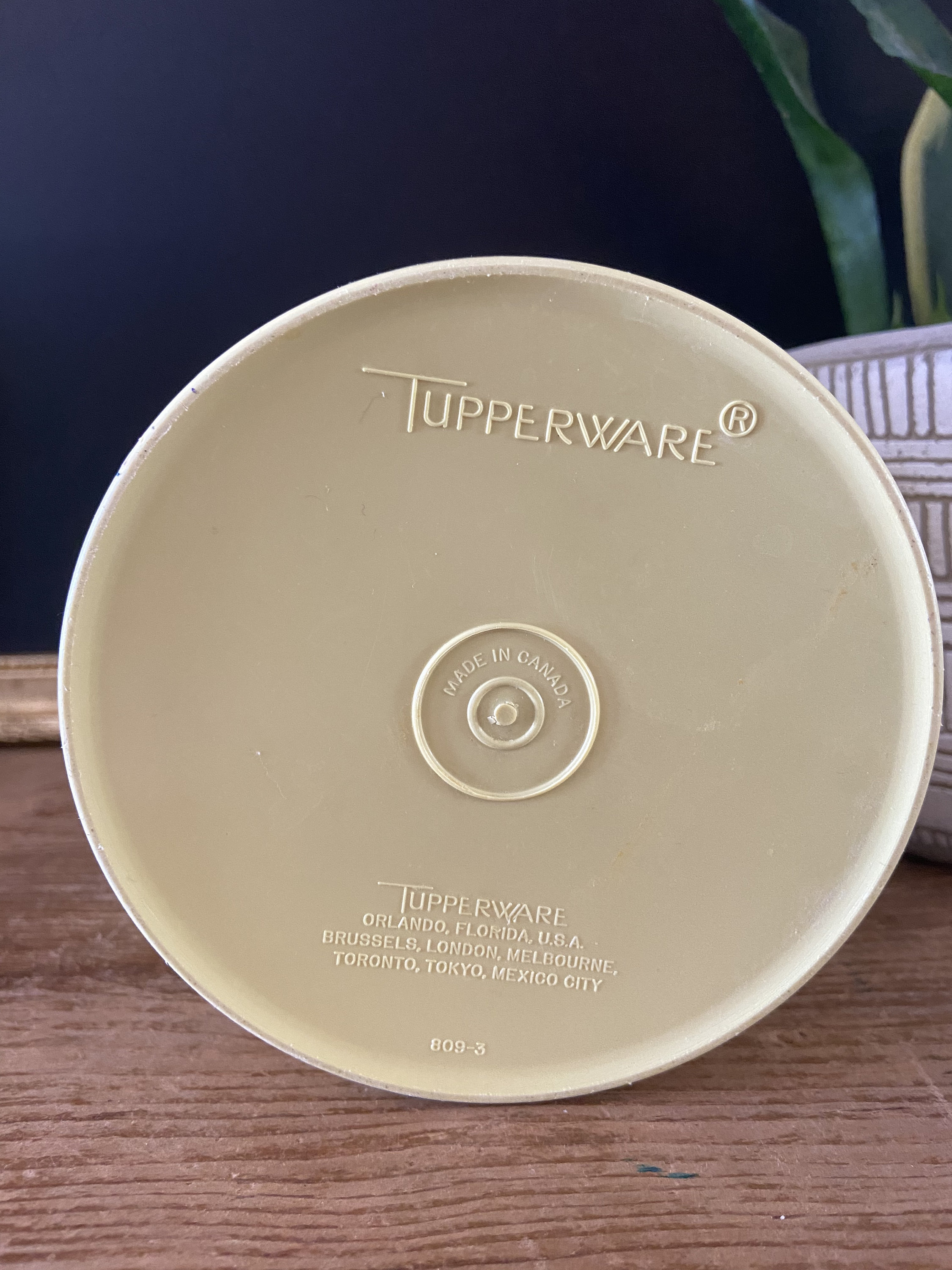 Vintage, 1970s, Tupperware, Harvest Gold, Servalier, Canisters, Retro ...