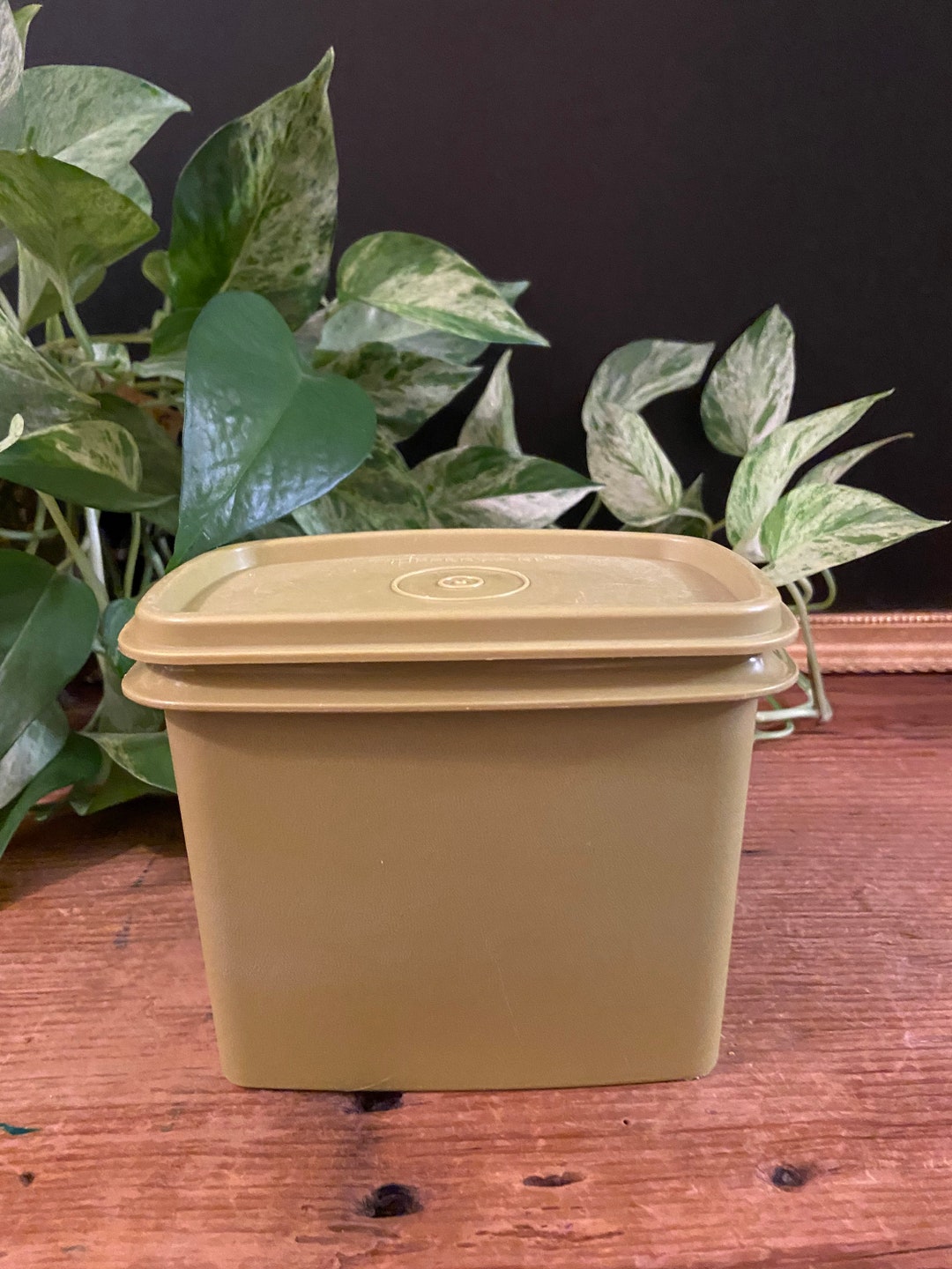 Vintage, 1970, Fall Harvest, Tupperware, Avocado Green, Storage ...