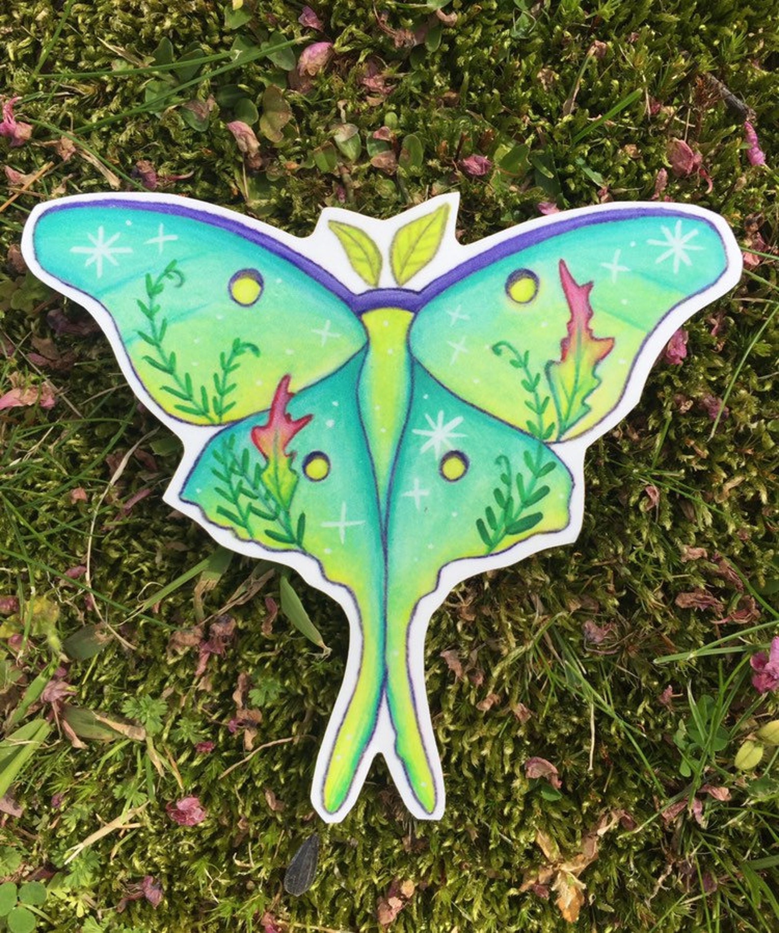 Luna Moth Sticker - Etsy