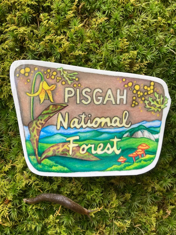 Pisgah National Forest Sticker - Etsy