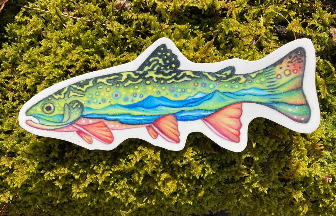 Brook Trout Sticker - Etsy