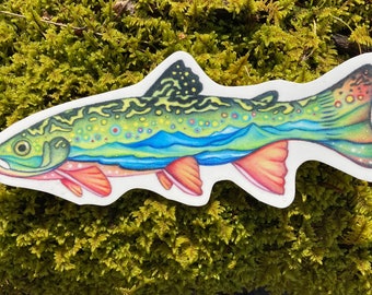 Brook Trout Stonefly Sticker Decal Designed by Evan Makuvek - Etsy