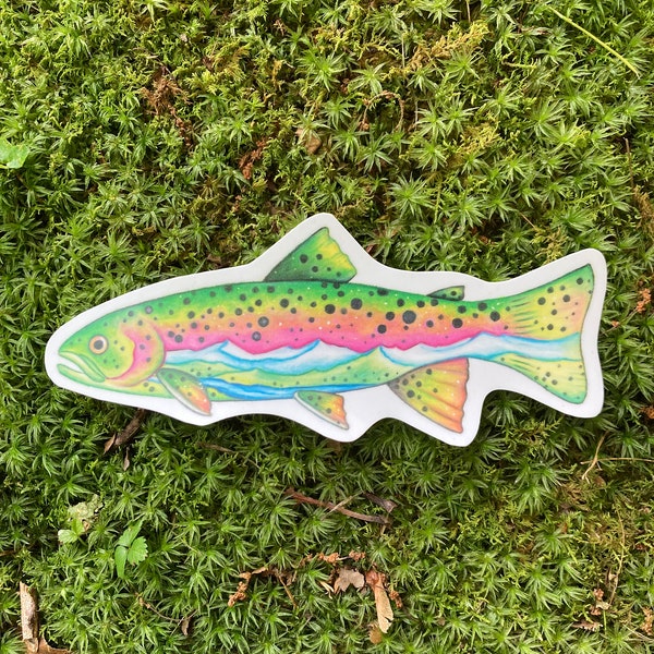 Rainbow Trout Stickers - Etsy