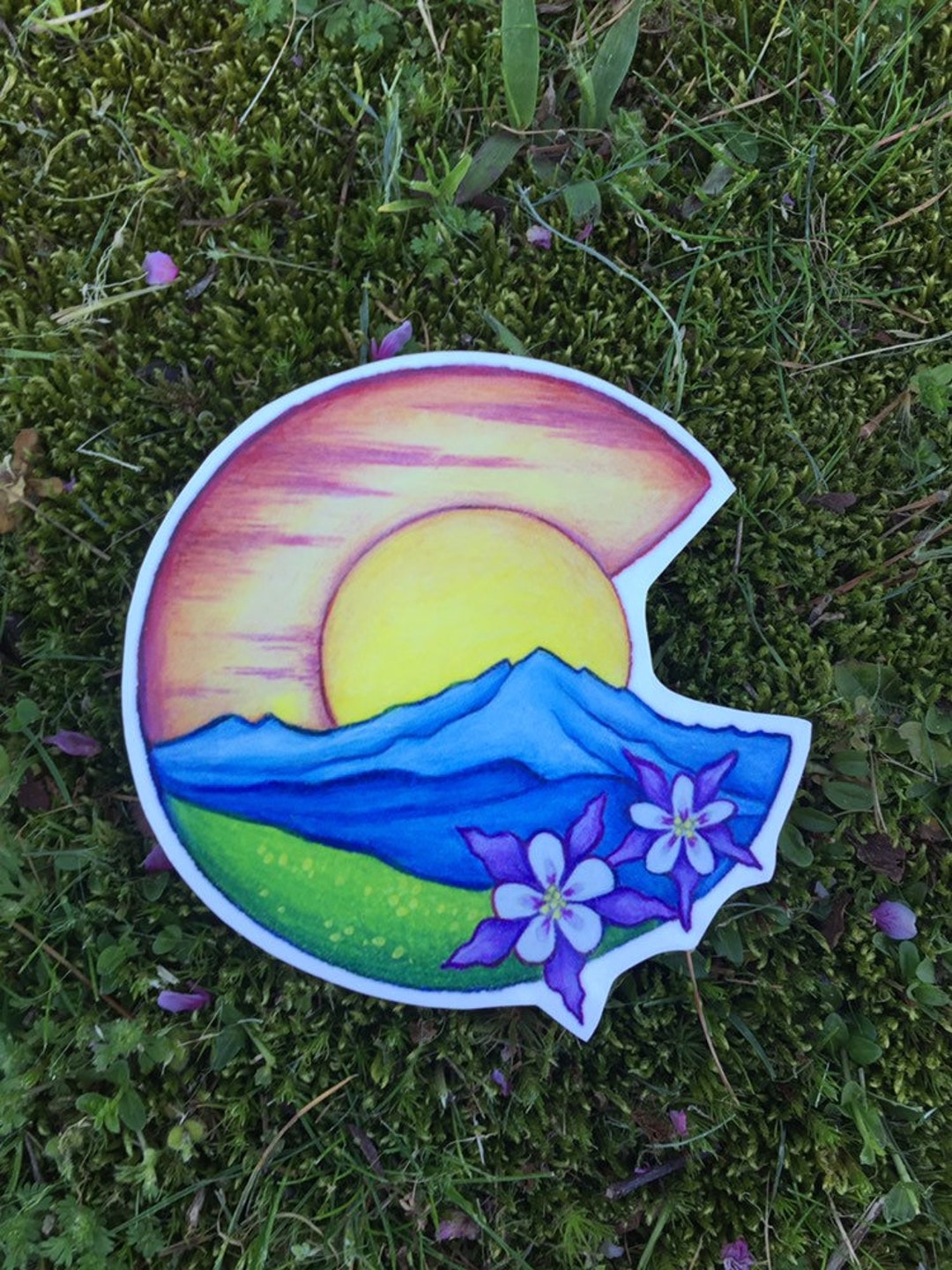 Colorado Sticker - Etsy