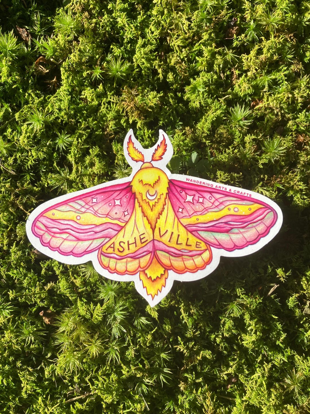 Asheville Rosy Maple Moth Sticker. - Etsy