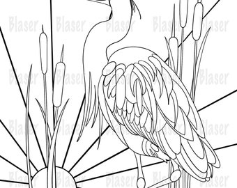 heron coloring page printable