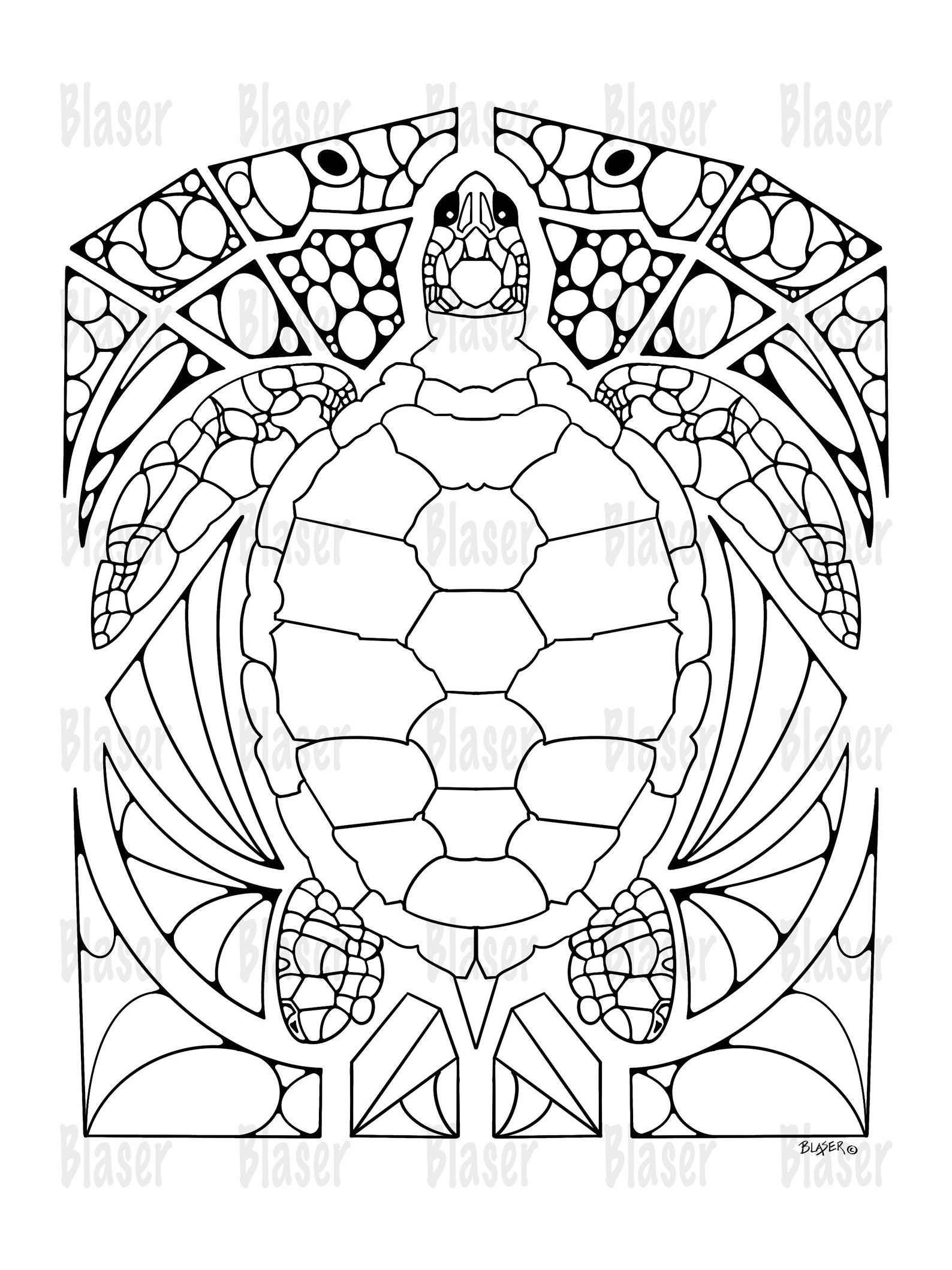 Coloring Page, Tortoise, Printable, Symmetrical, Coloring, Digital ...
