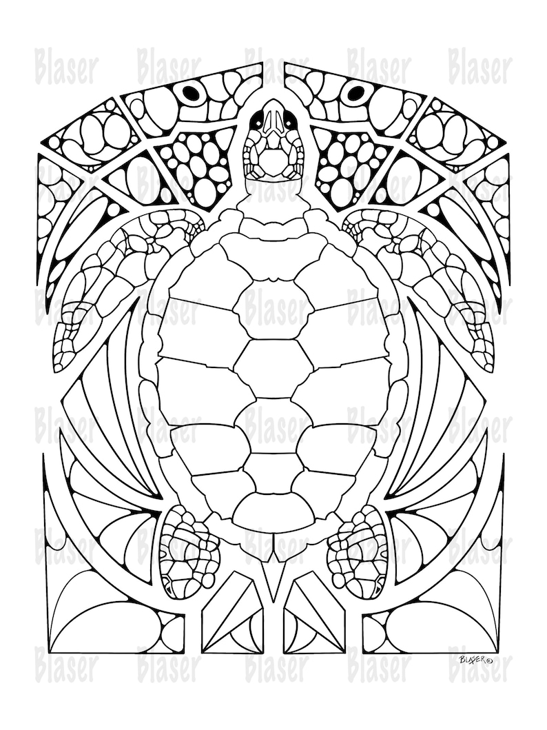 Coloring Page, Tortoise, Printable, Symmetrical, Coloring, Digital ...