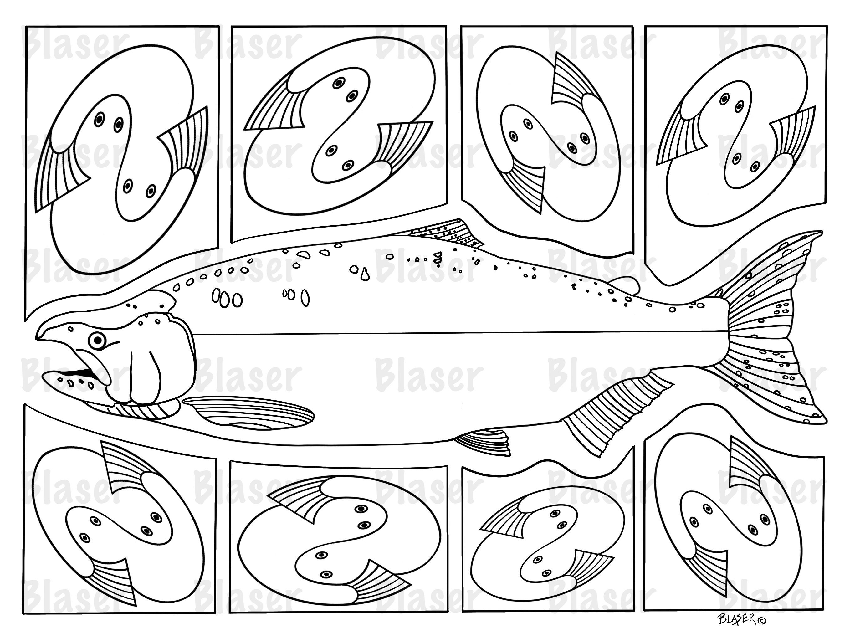 Coloring Page, Salmon, Printable, Symmetrical, Coloring, Digital ...