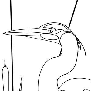 Great Blue Heron Coloring Page, Instant Digital Download, Printable ...