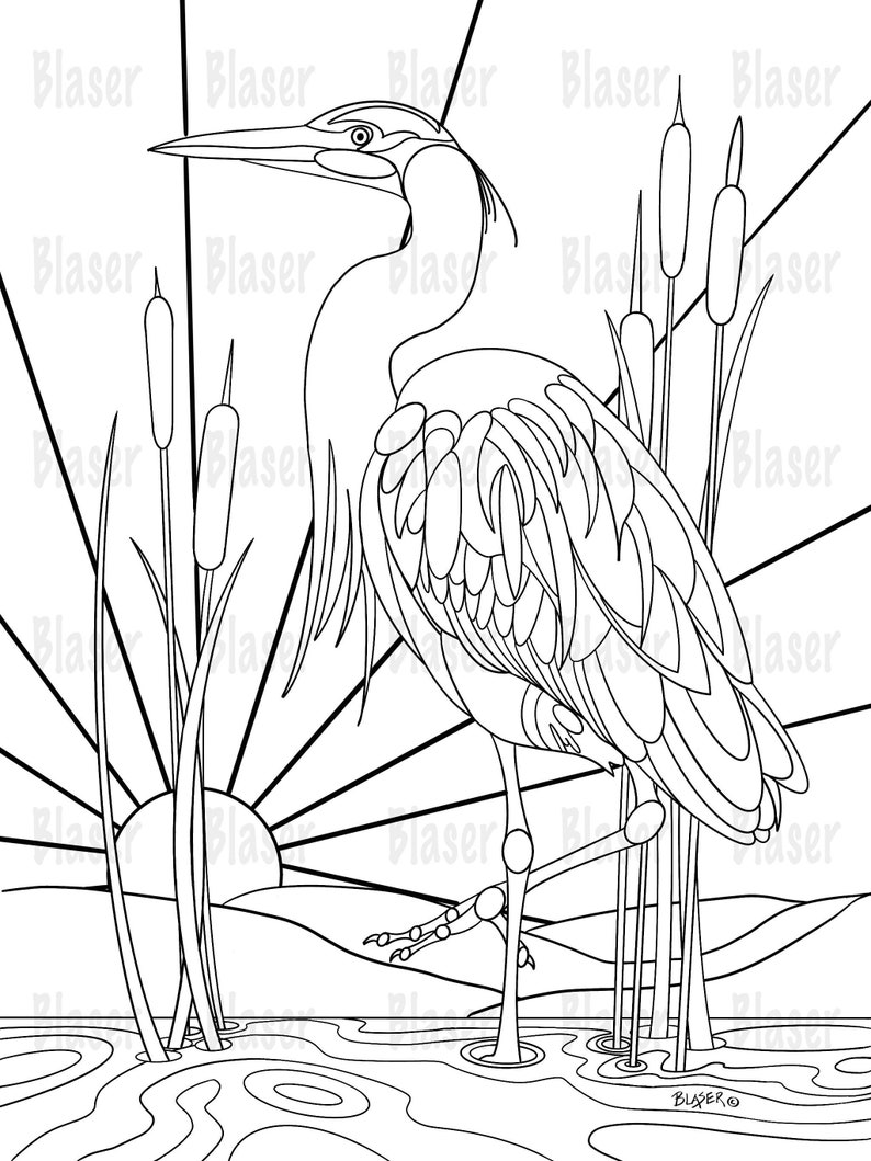 Great Blue Heron Coloring Page, Intricate Nature Pattern (digital ...