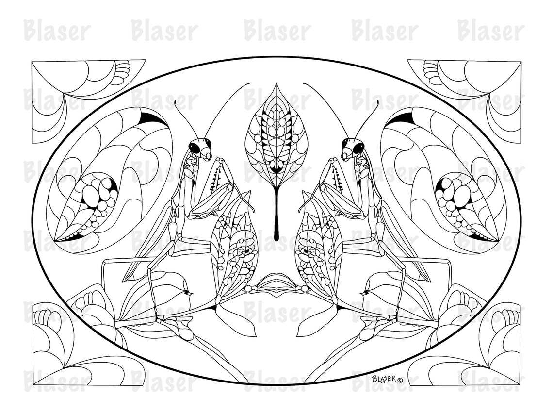 Coloring Page, Praying Mantis, Printable, Symmetrical, Coloring ...