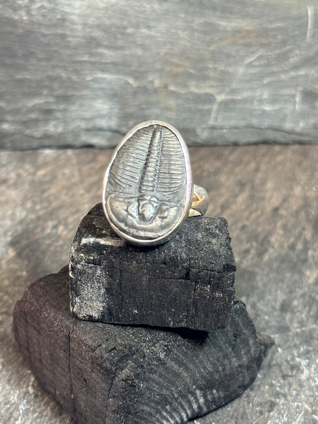 Trilobite Fossil Handmade Sterling Silver Ring UK Size R - Etsy