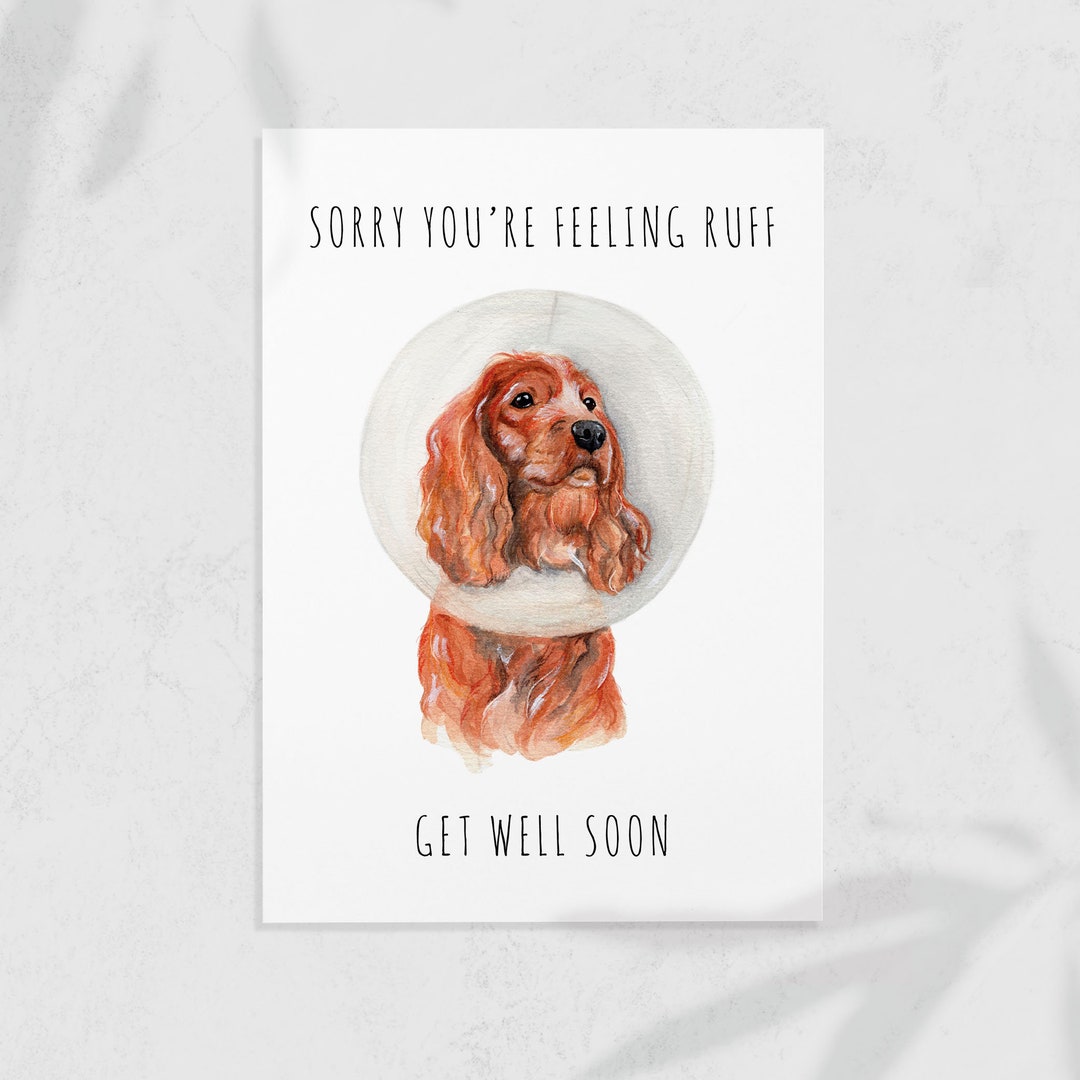 Feeling Ruff, Get Well Soon - Dog Greeting Card - Cocker Spaniel - Etsy