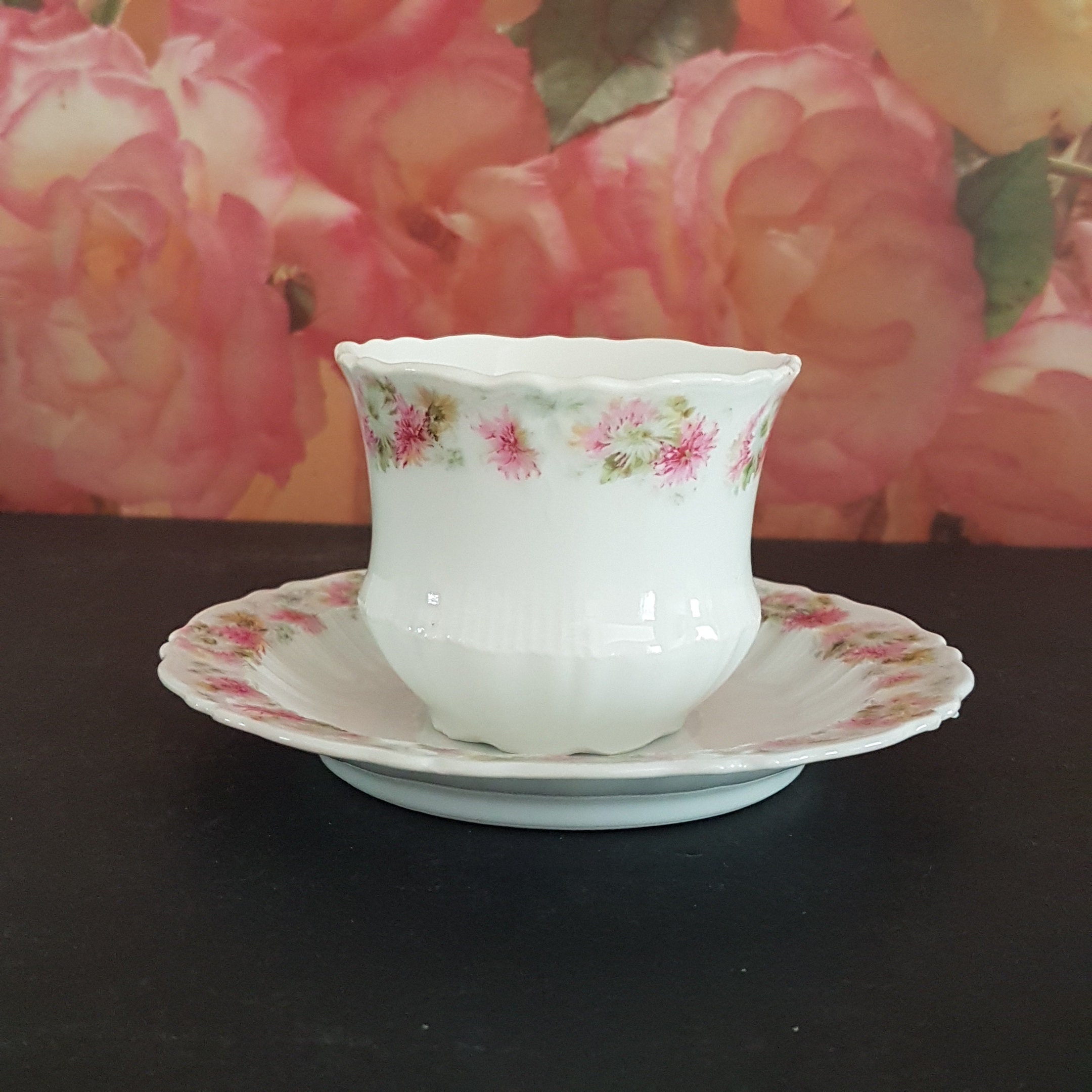 Antique Carl Tielsch Altwasser Germany Tea Cup, Pink White Daisy Flower ...