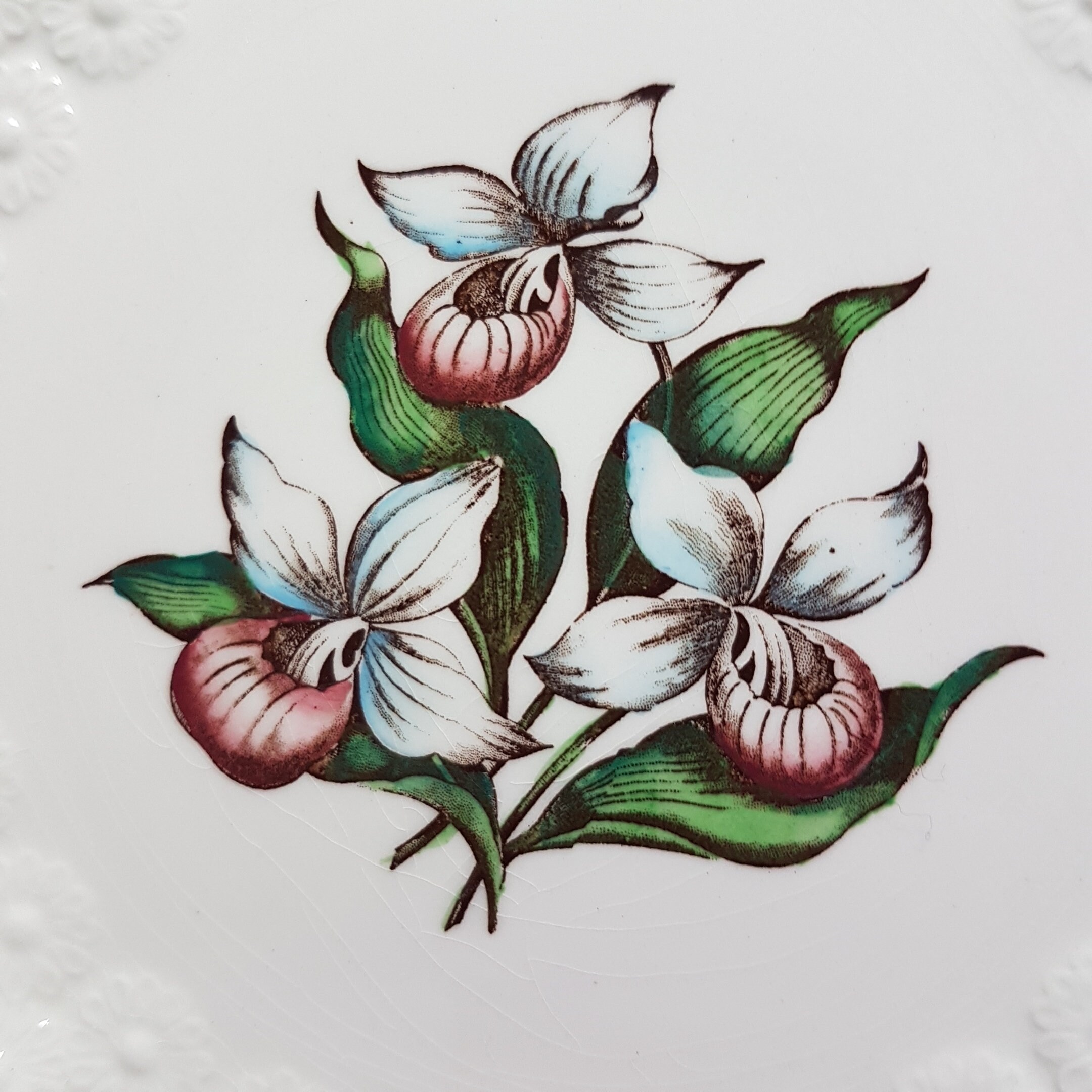 9 Plate Copeland Spode 1967 Canadian Centennial Provincial Flowers ...