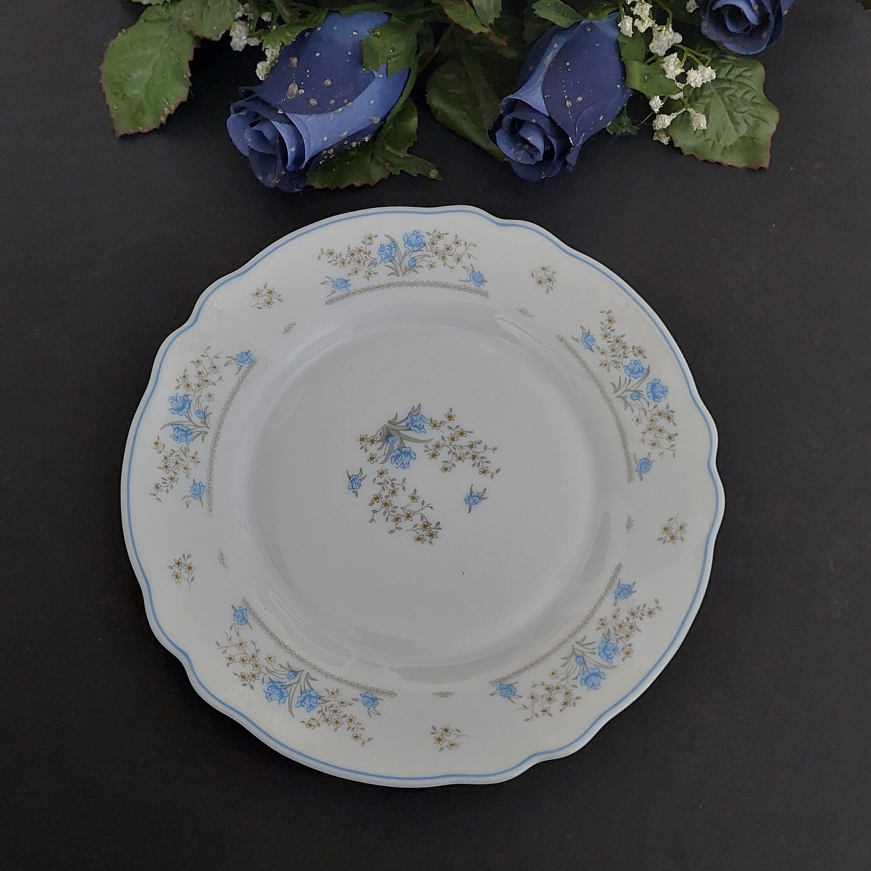 Arcopal ROMANTIQUE 7.5 Inch Salad Side Plates, Set of 2, Milk Glass ...