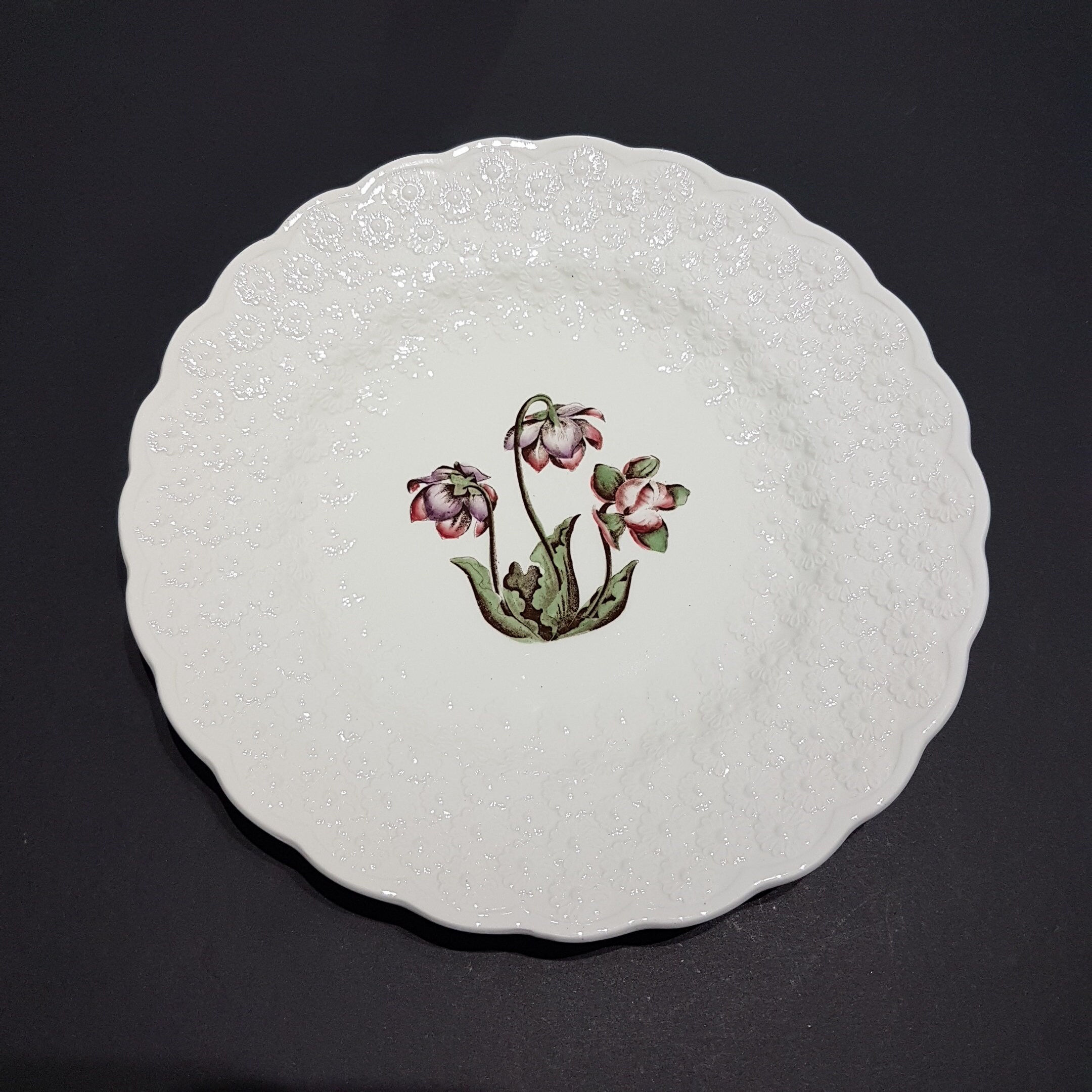 9 Plate Copeland Spode 1967 Canadian Centennial Provincial Flowers ...