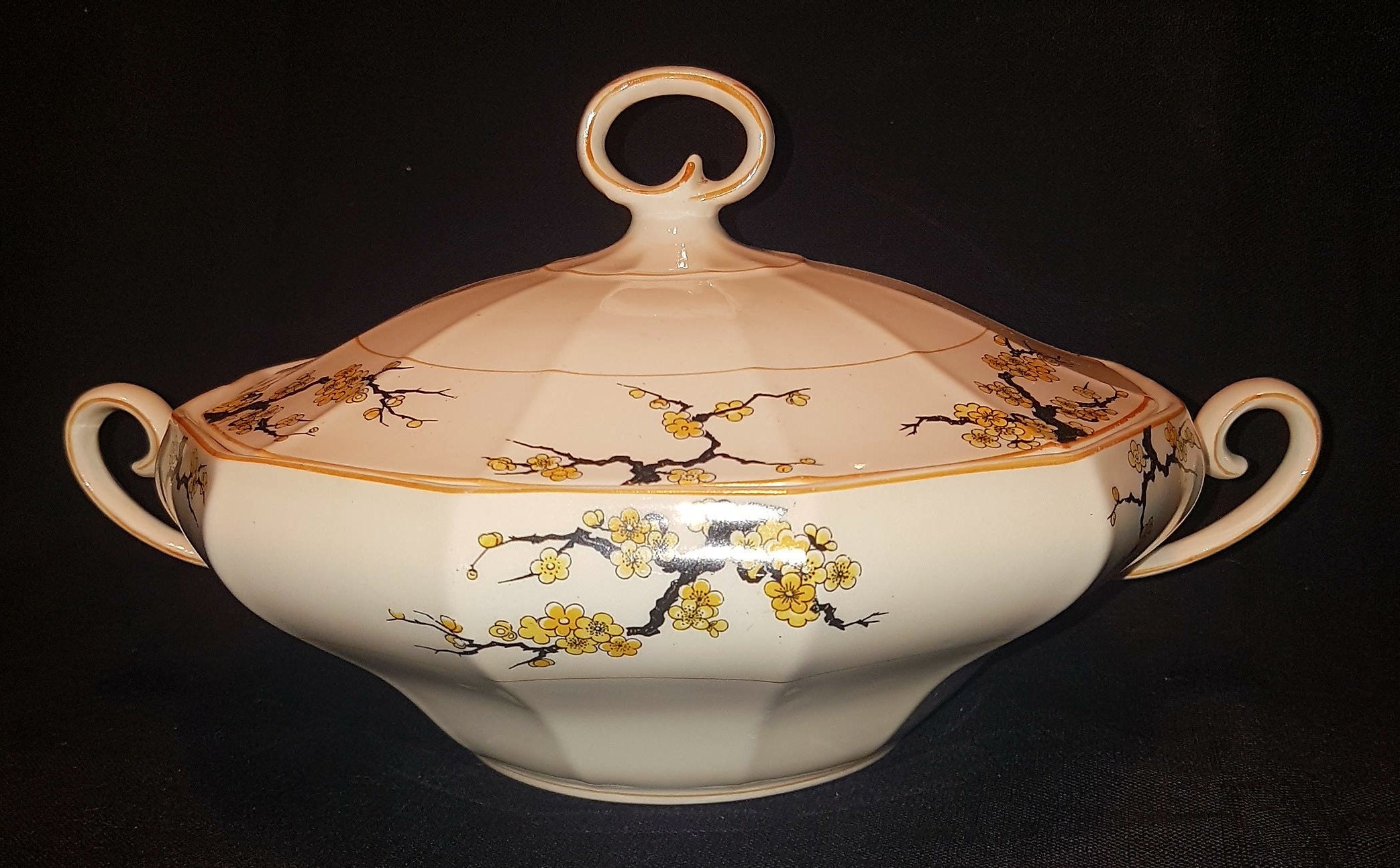 RARE Myott, Art Nouveau, BLOSSOM Pattern, Yellow Flowers, Bold Black ...