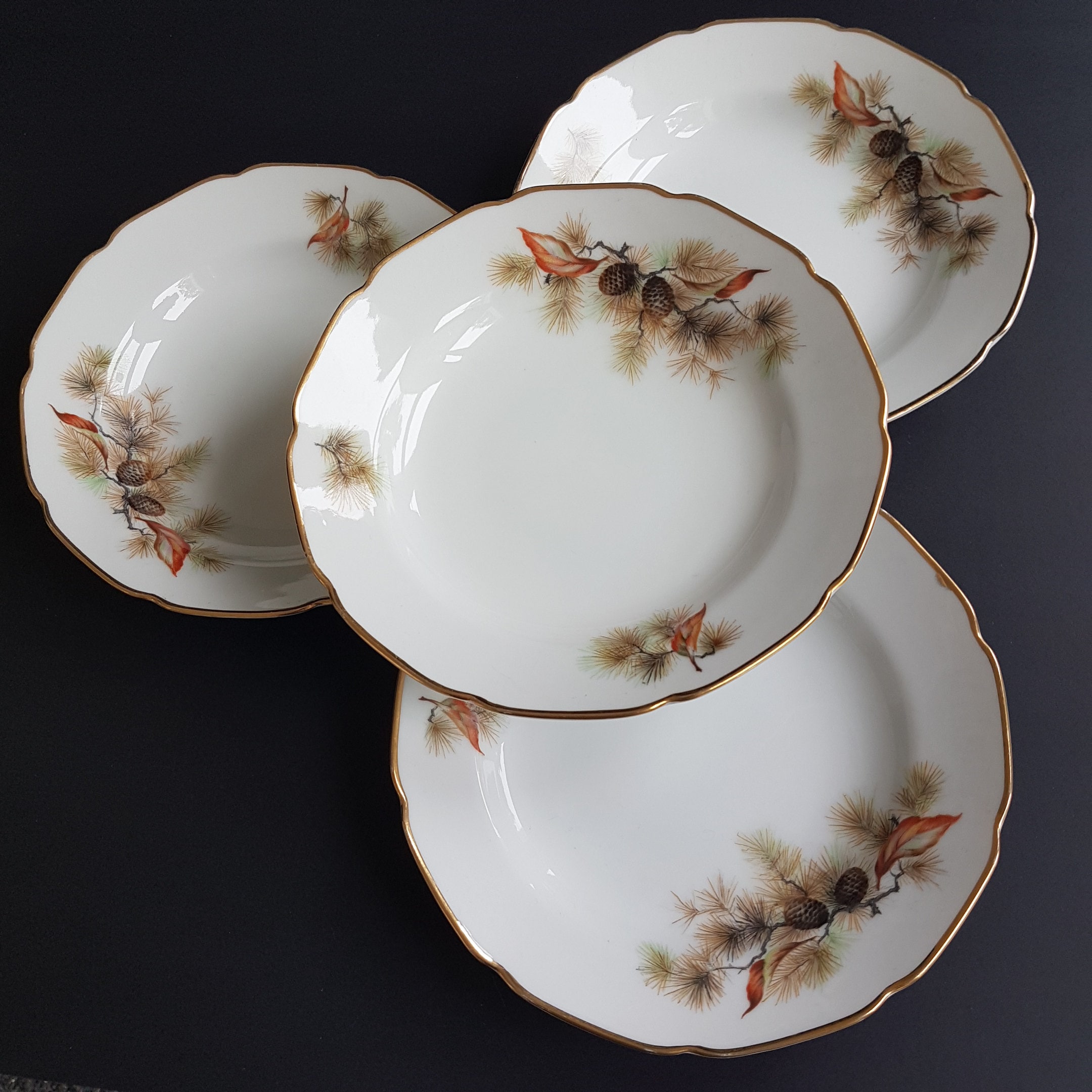 Rim Soup Bowls, Set of 4, PINE TREE, Fine Translucent China Japan, 8 ...