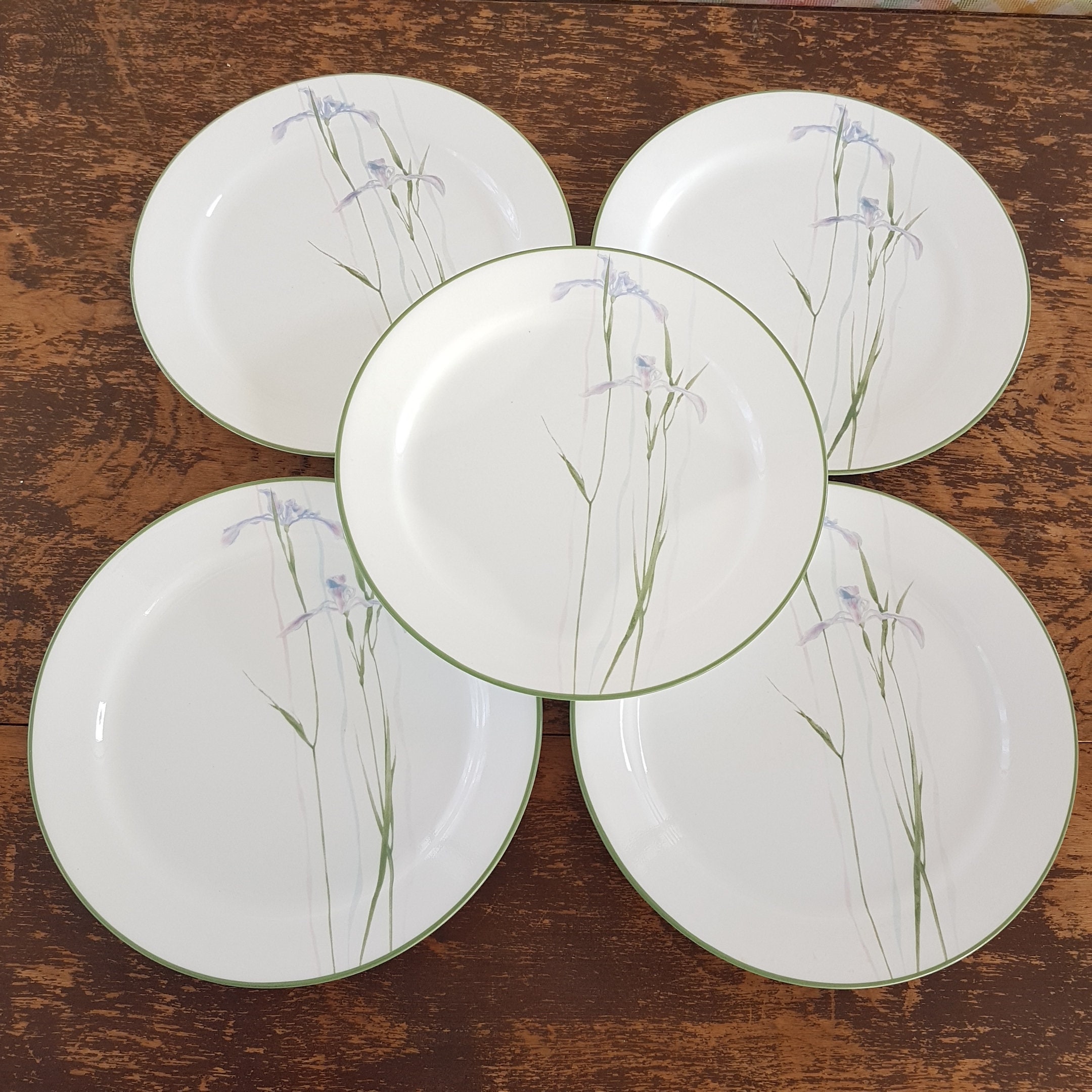 Corelle SHADOW IRIS Dinner Plates, 10.25 inch, Set of 5, Made in USA