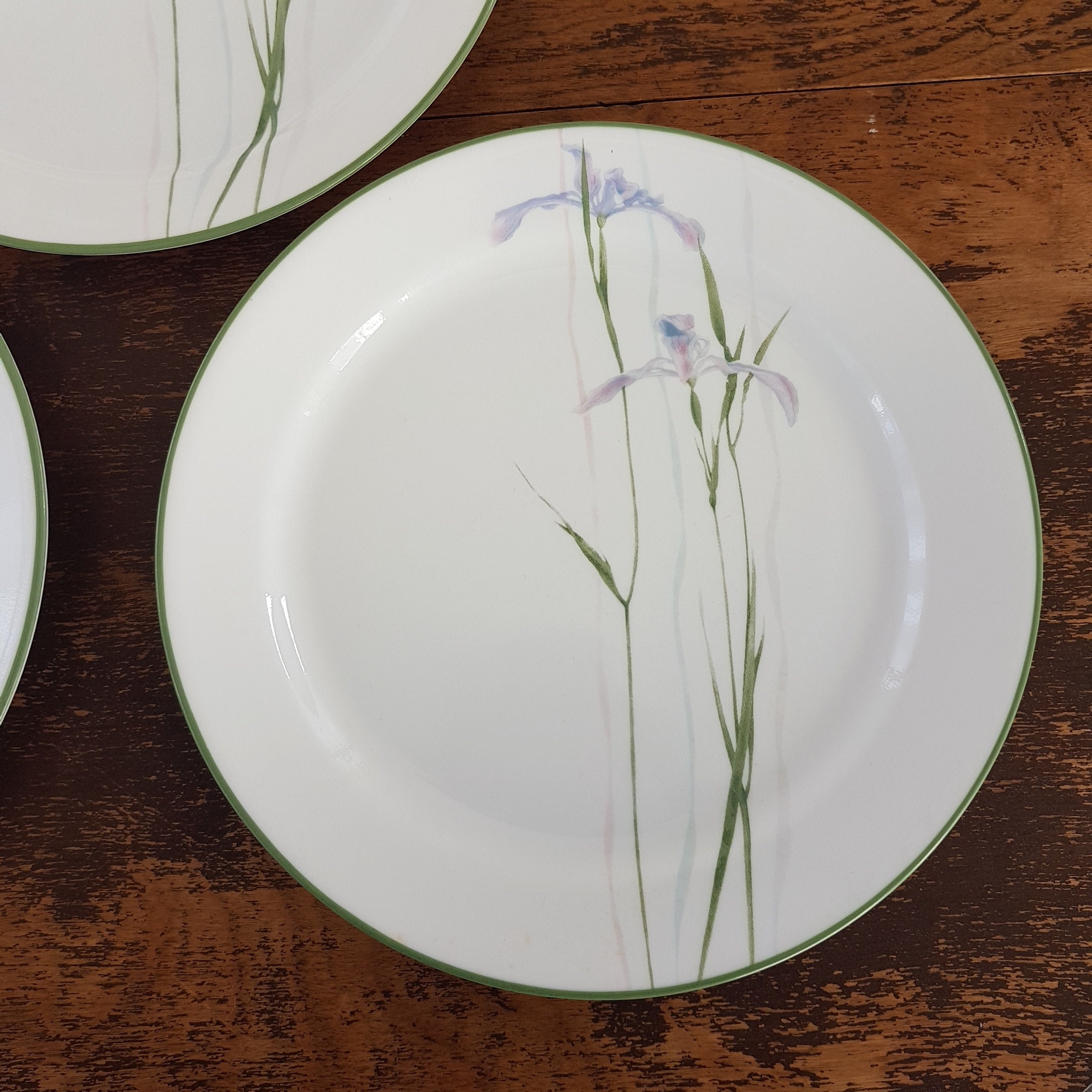 Corelle SHADOW IRIS Dinner Plates, 10.25 inch, Set of 5, Made in USA