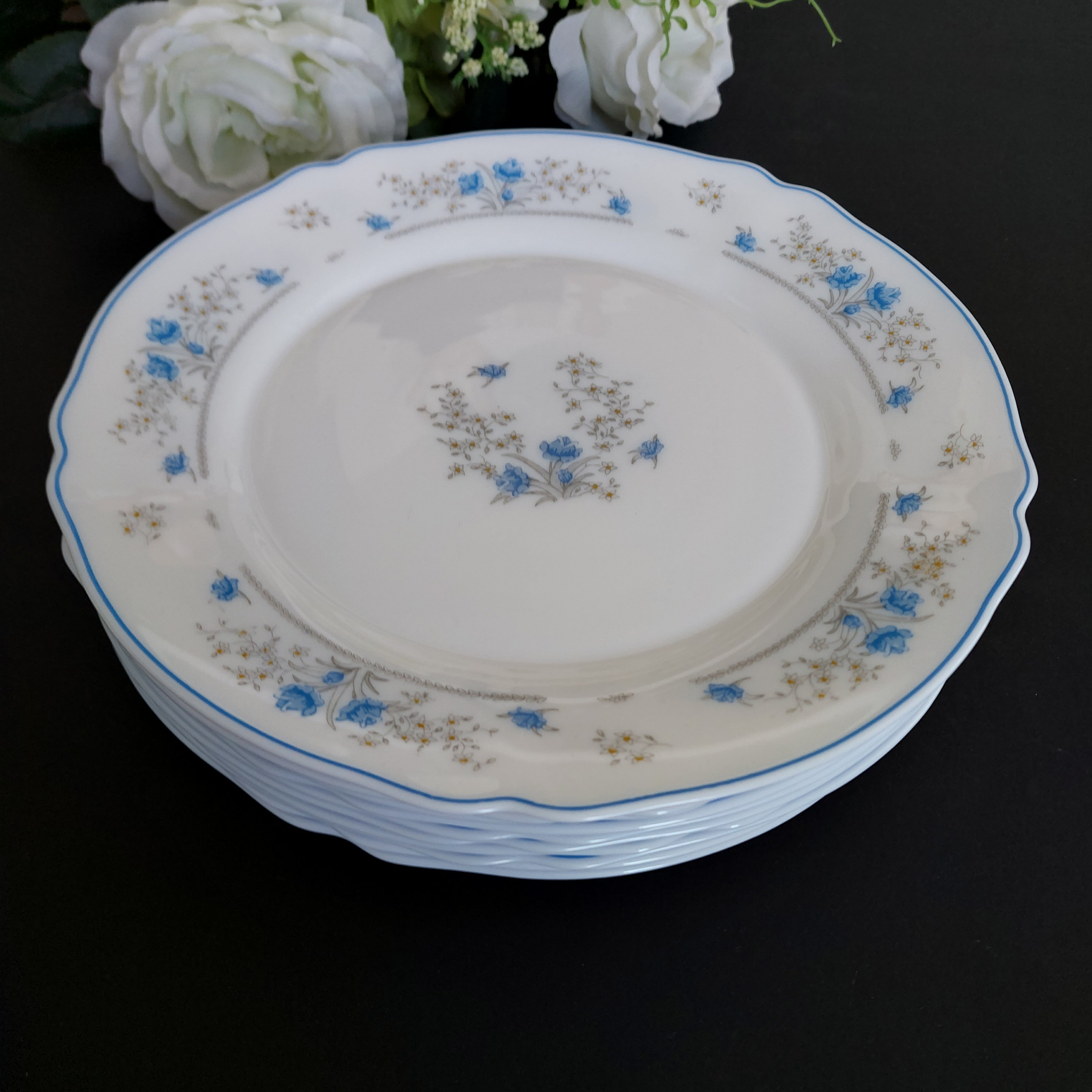 Arcopal ROMANTIQUE 10.25 Inch Dinner Plates, Sets of 2, Milk Glass ...