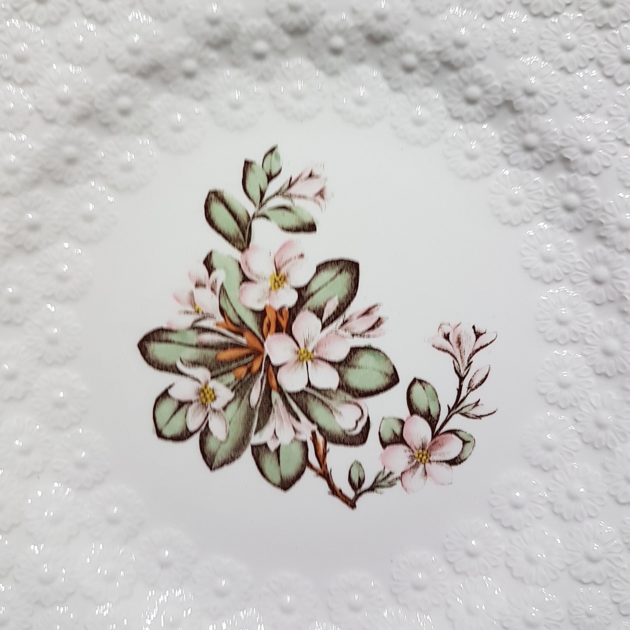 9 Plate Copeland Spode 1967 Canadian Centennial Provincial Flowers ...