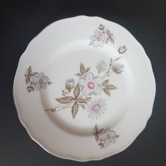 Home & Living Platinum Edge Vintage German Bone China Franconia ...
