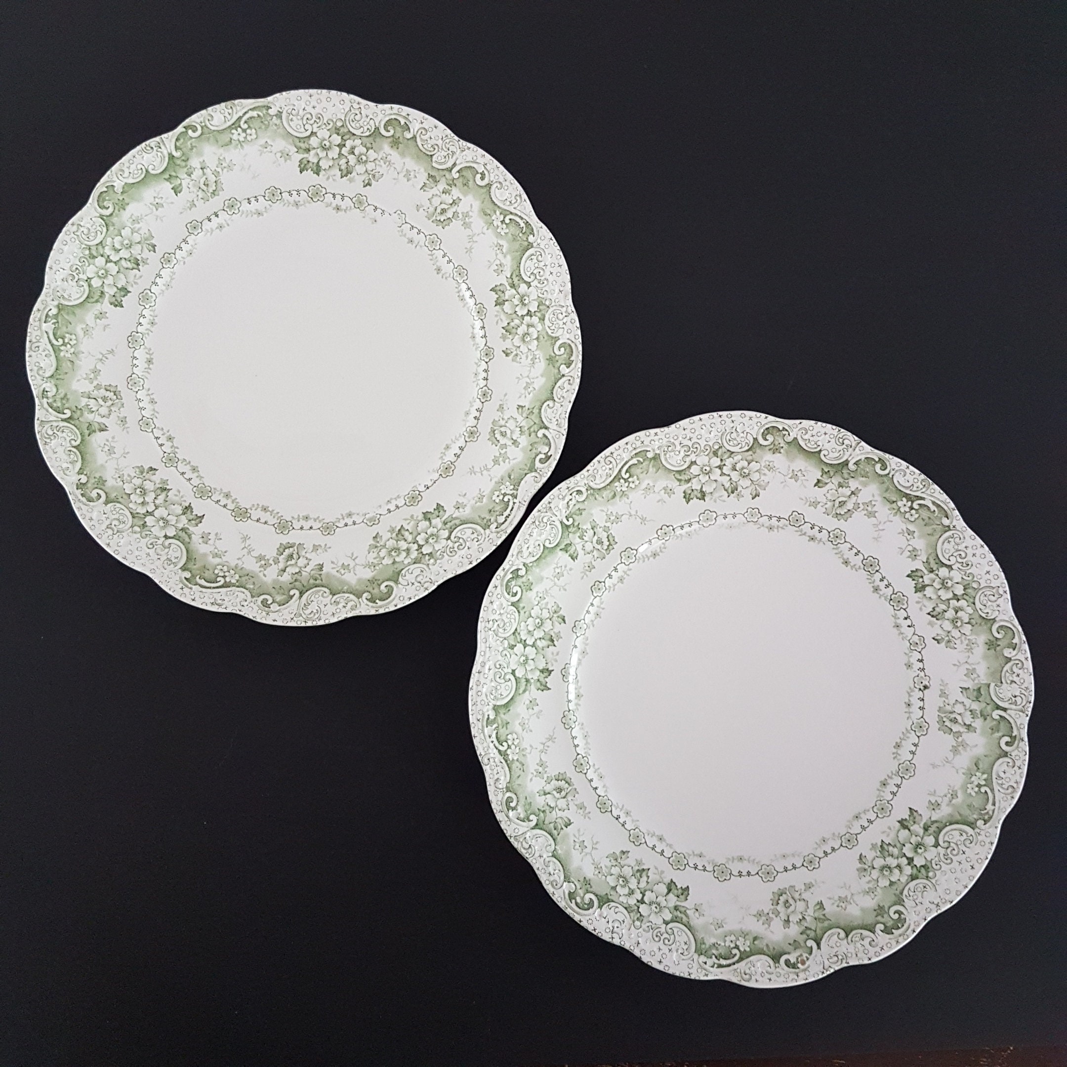 2 Dinner Plates, LUCERNE, Colonial Pottery Stoke England, 9.75 Inch ...
