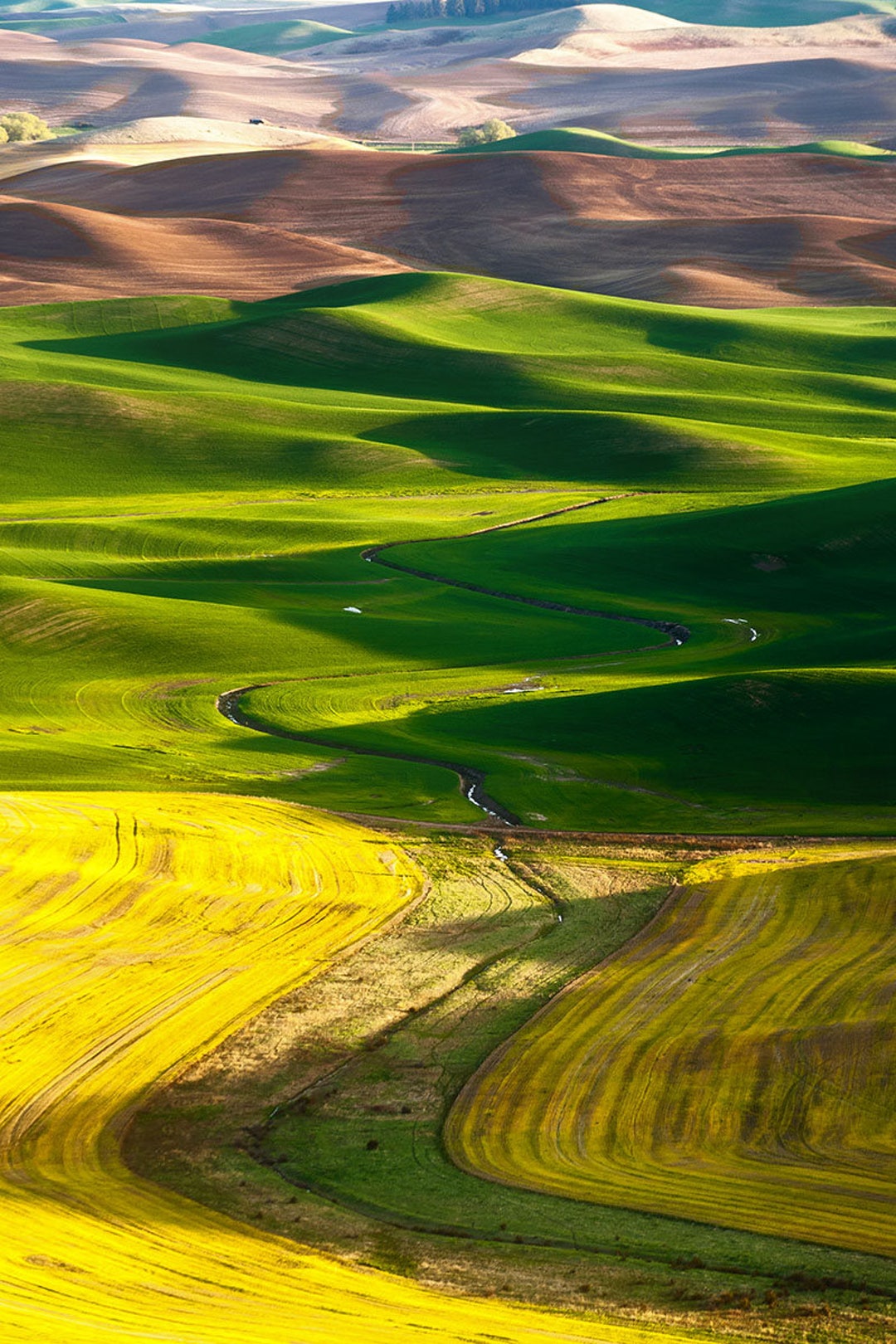 Steptoe Butte Photography- the Palouse - Washington Art- Fine Art Print ...