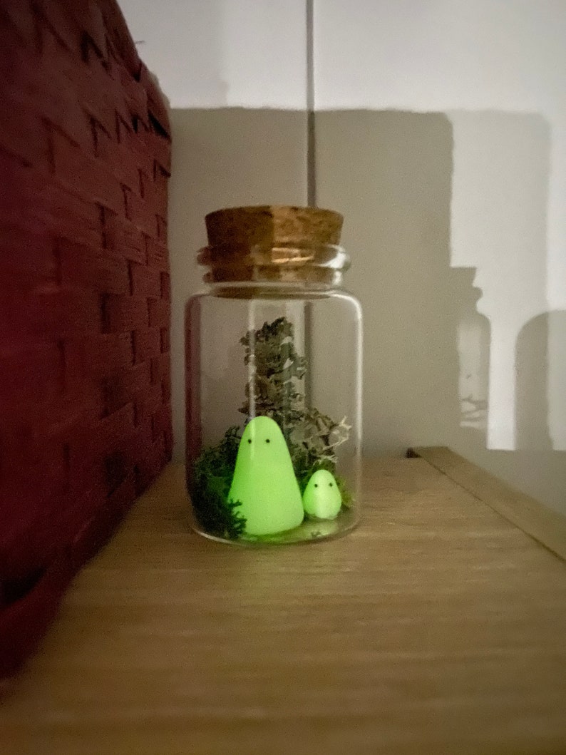 Ghost in a Jar, Pet Ghost in Bottle, Spooky Gift, Polymer Clay Ghost ...