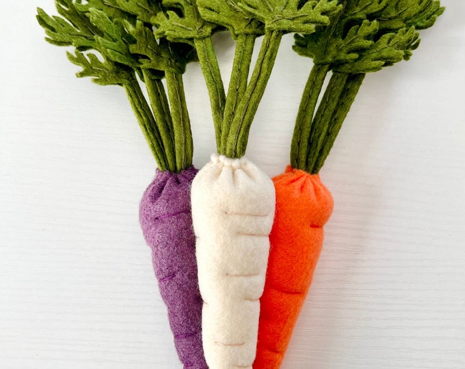 Felt Carrot Set, Multi-color Carrots , Play Vegetables, Easter Basket ...