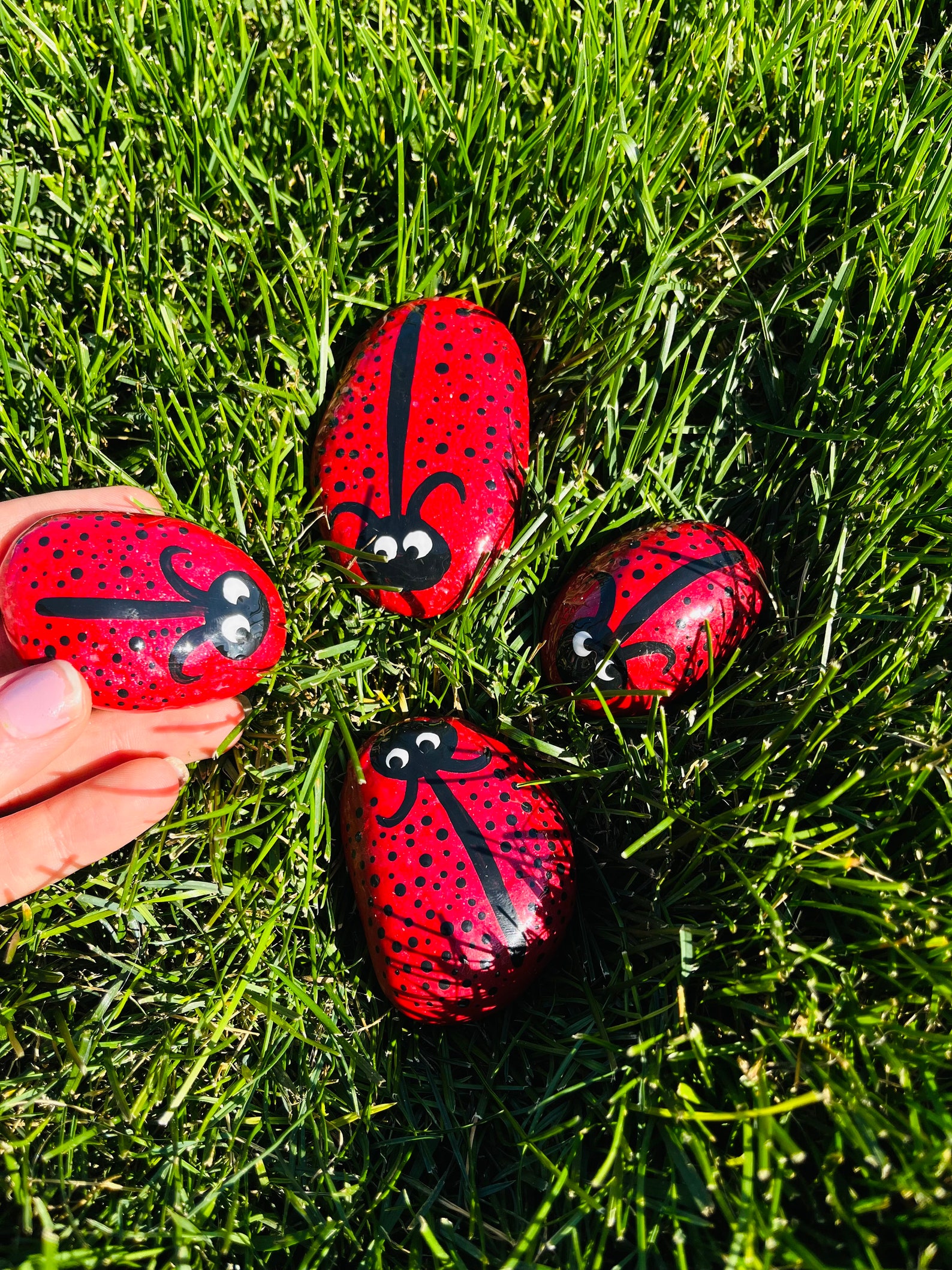 Hand-painted Ladybug Rocks Set of 4 River Stones Garden - Etsy