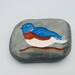 Bluebird Painted Rock Garden Stone - Etsy