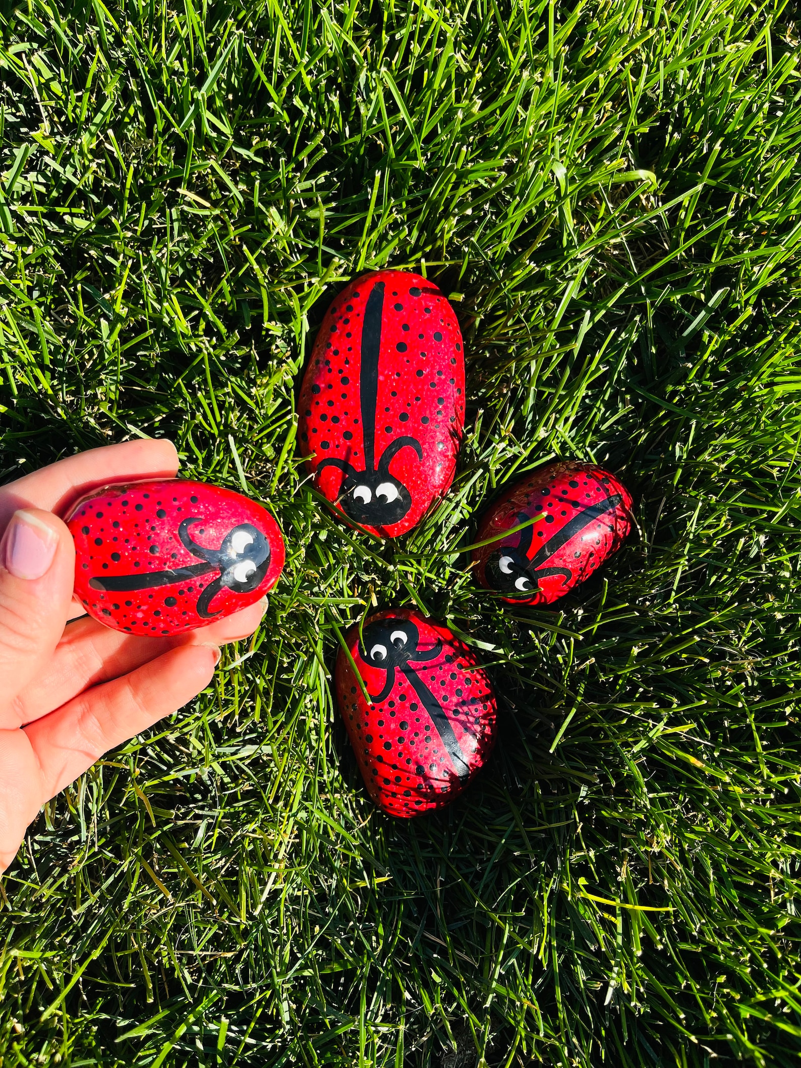 Hand-painted Ladybug Rocks Set of 4 River Stones Garden - Etsy