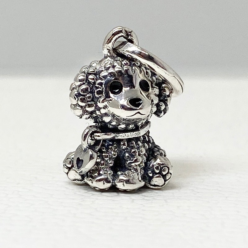 Pandora Charm - Etsy